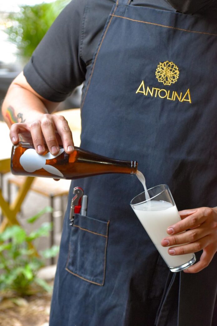 El pulque es una bebida de dioses que debe ser revalorada