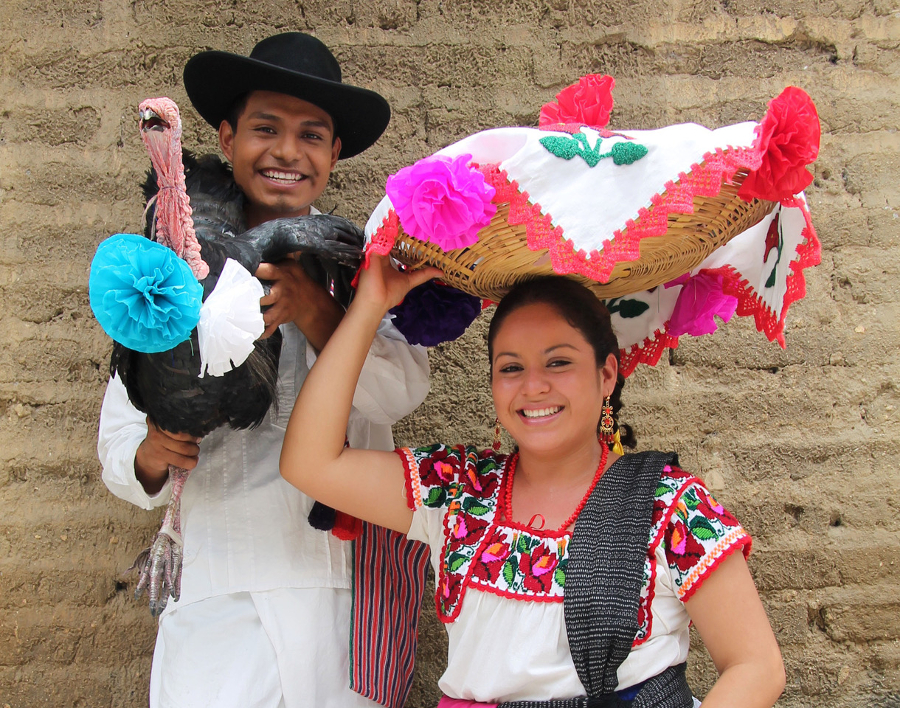 Urge incentivar el consumo del guajolote